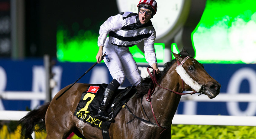 Blazing Speed and Dan Excel Look Competitive in the Hong Kong Cup
